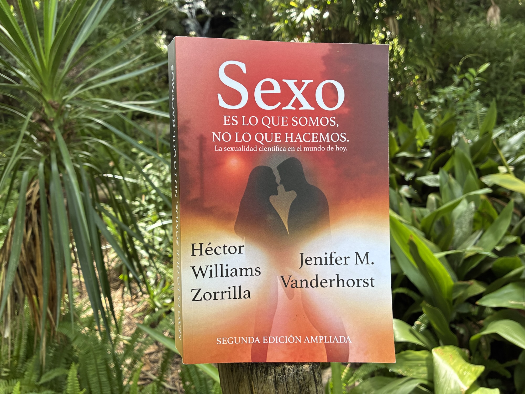 Hector Williams Zorrilla – Página del Autor y Psicólogo